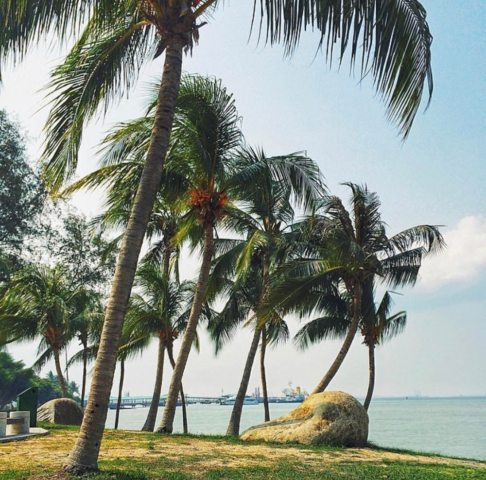 8 Places to Explore in Changi Village